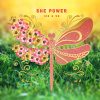 SHE Power Chandler – SHE Power 10K & 5K